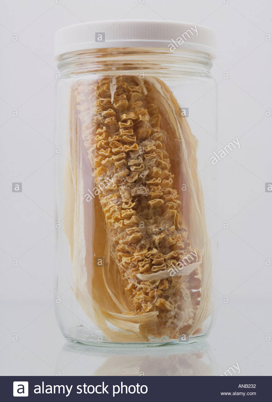 Expired Food Stock Photos & Expired Food Stock Images - Alamy