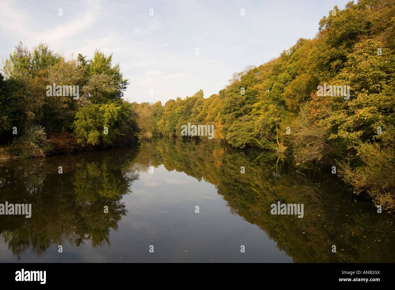Trees lining the River Taff Stock Photo - Alamy