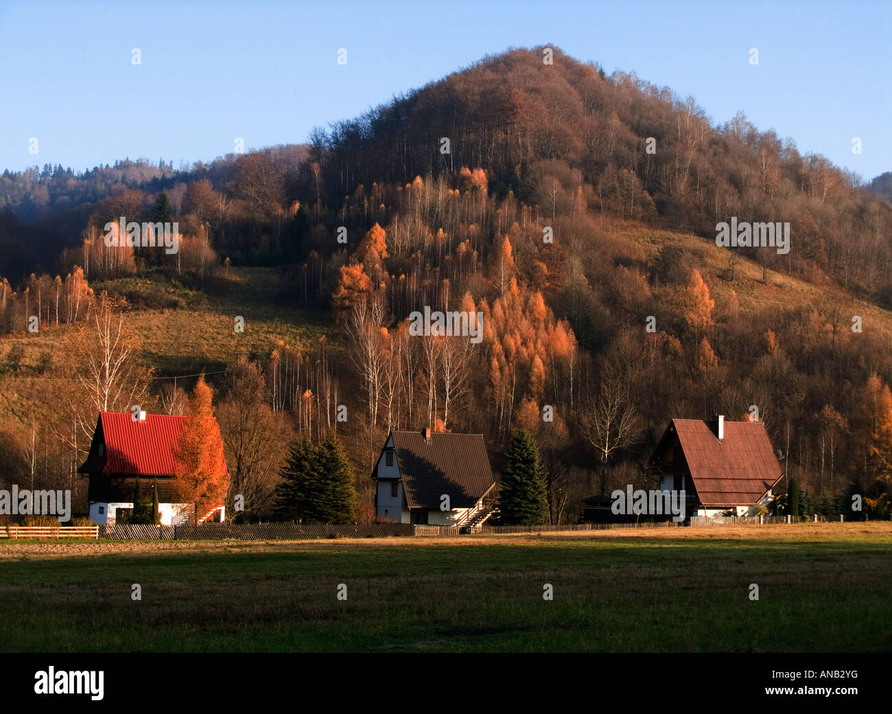 Szczawa at fall Poland Stock Photo - Alamy