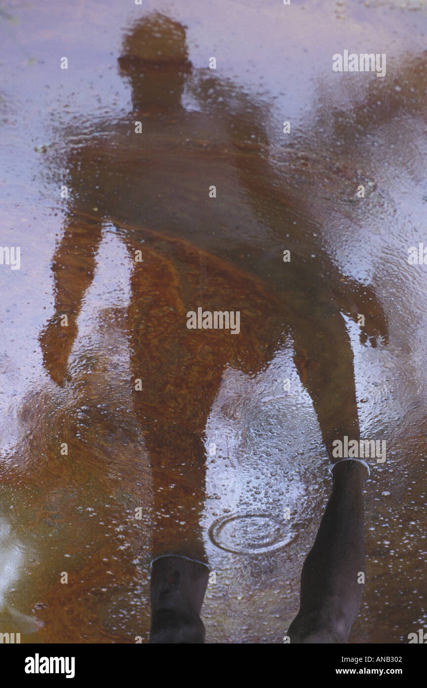 Oil spill in niger delta forest Stock Photo - Alamy