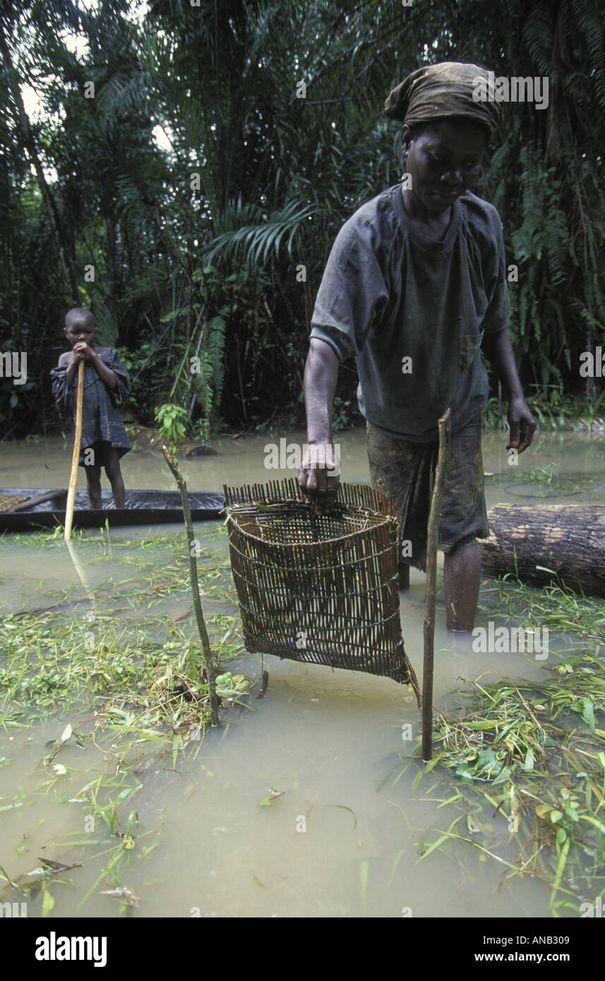 Niger Delta Fish High Resolution Stock Photography and Images - Alamy