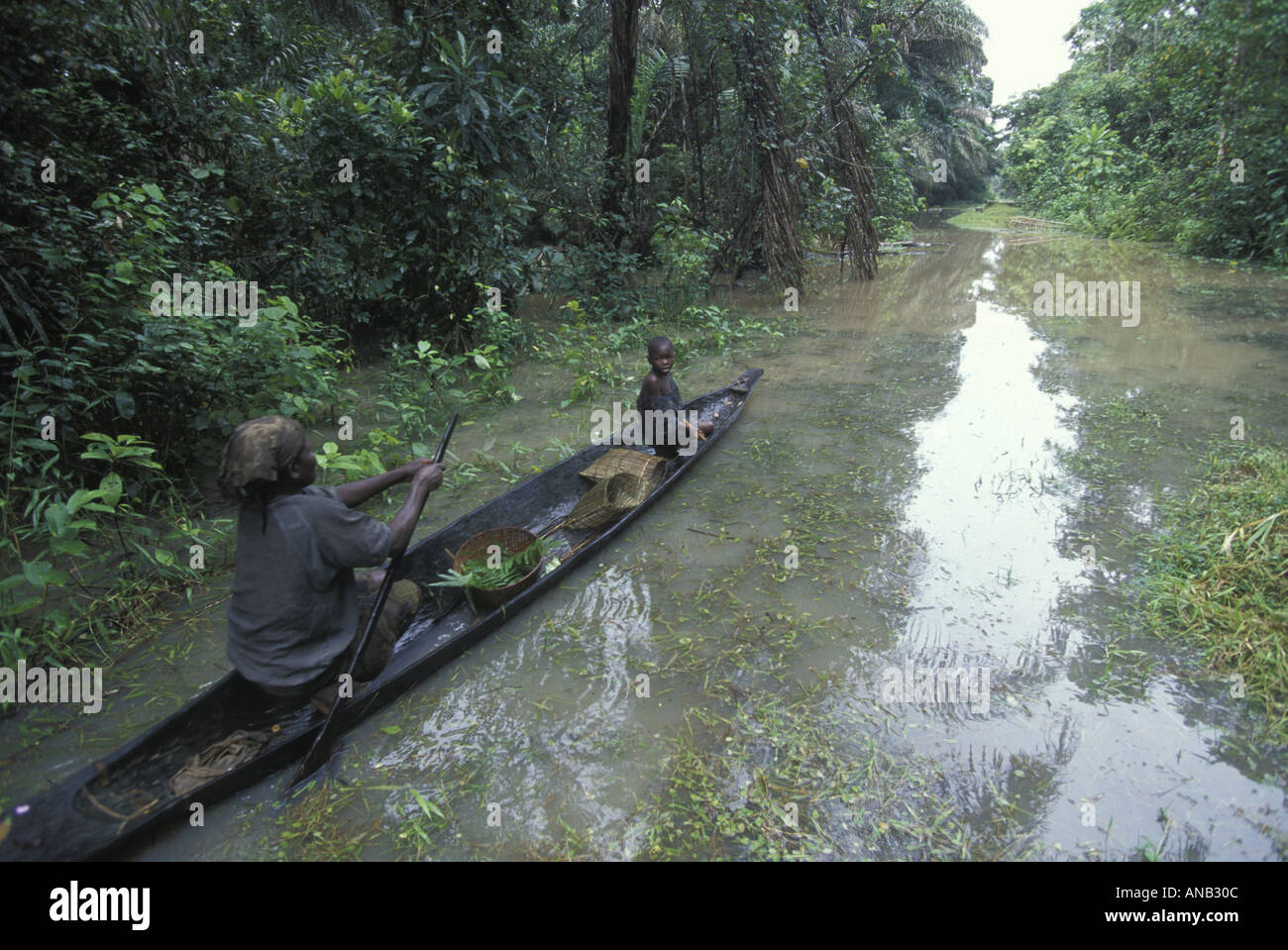 Fish catch niger delta Stock Photo - Alamy
