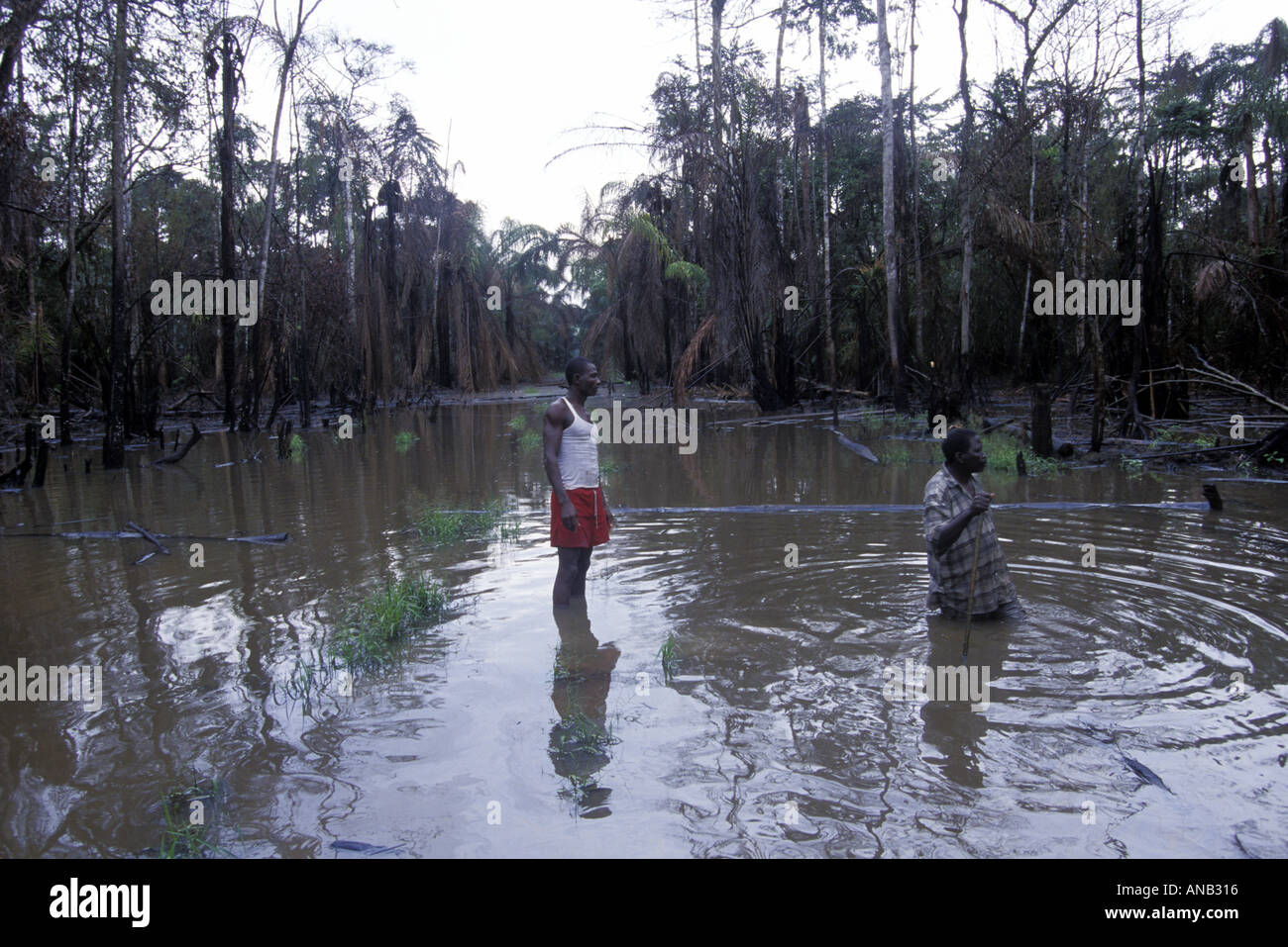 Niger delta oil spill hi-res stock photography and images - Alamy