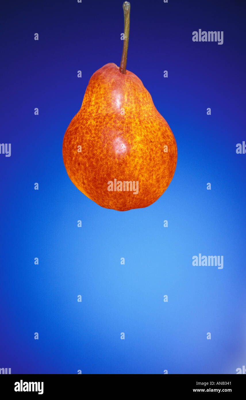 Pear Light Bulb High Resolution Stock Photography and Images - Alamy