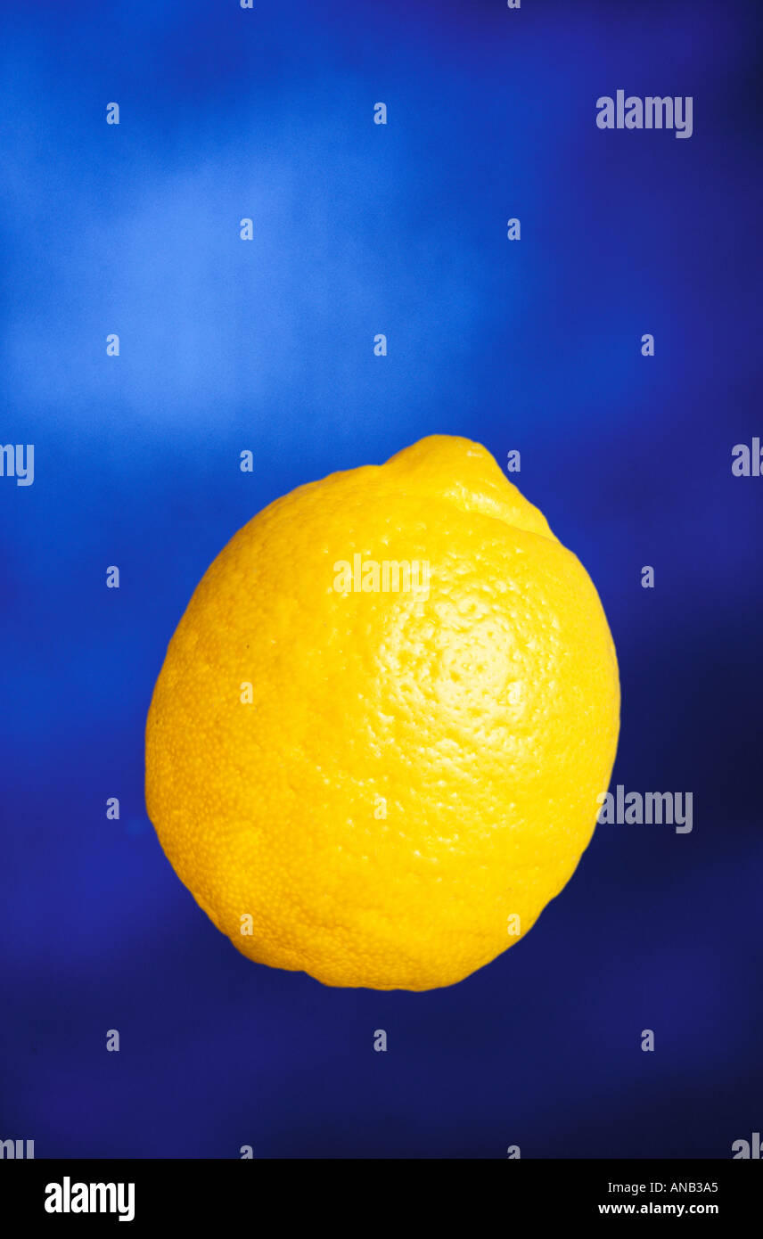 One yellow lemon Cut Out Stock Images & Pictures - Alamy