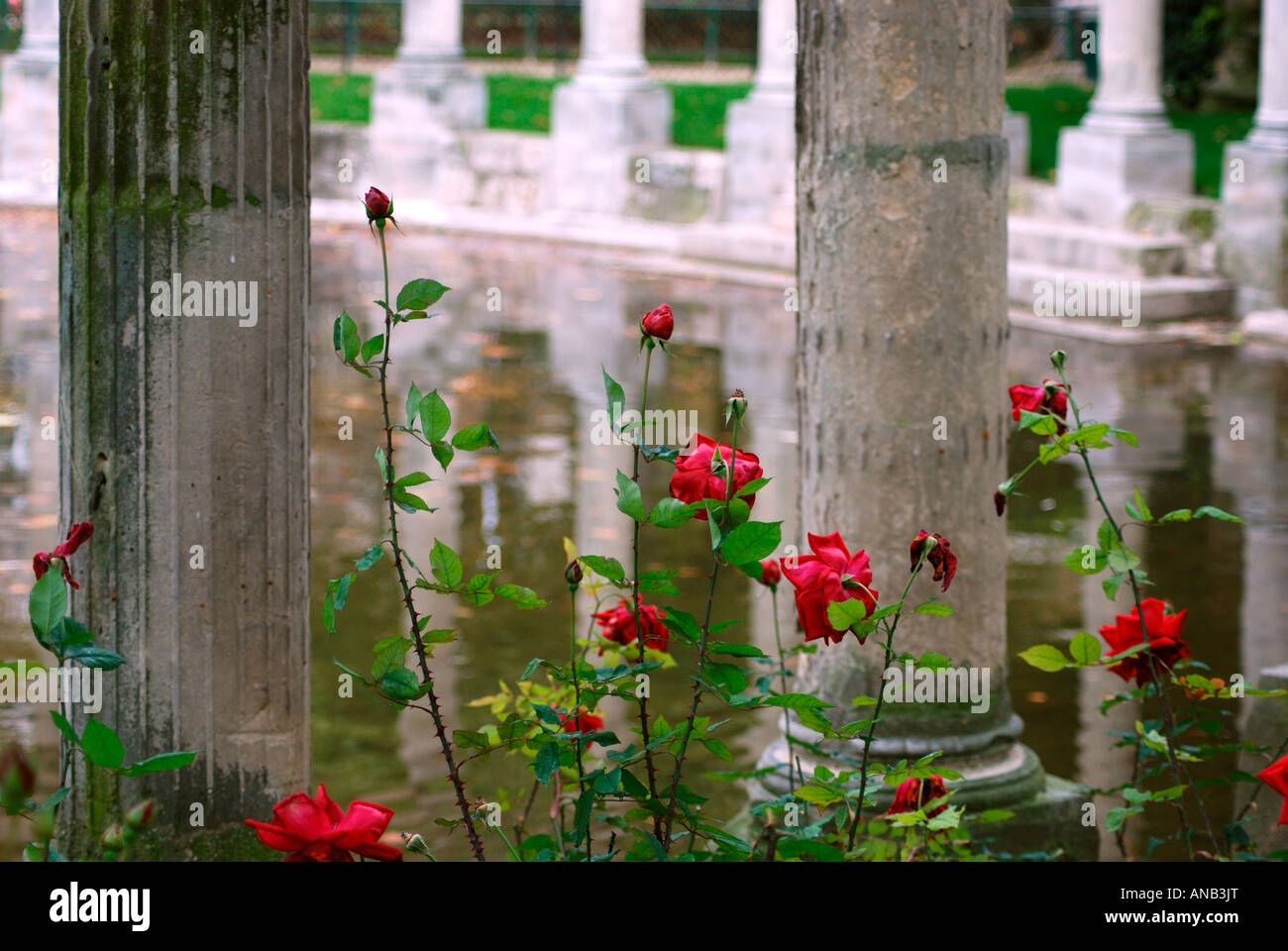 Roses and columns Stock Photo - Alamy