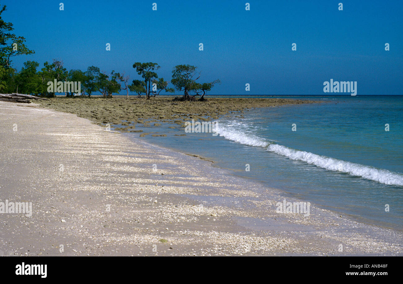 beach sea waves mangrove forest Long Island Andaman Islands India Stock ...