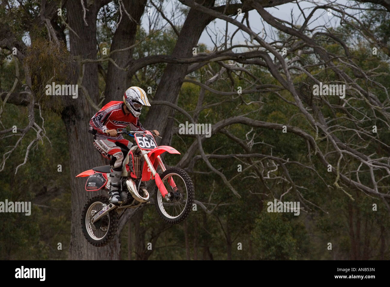Young Australian dirt bike rider flying high in the outback Stock Photo ...