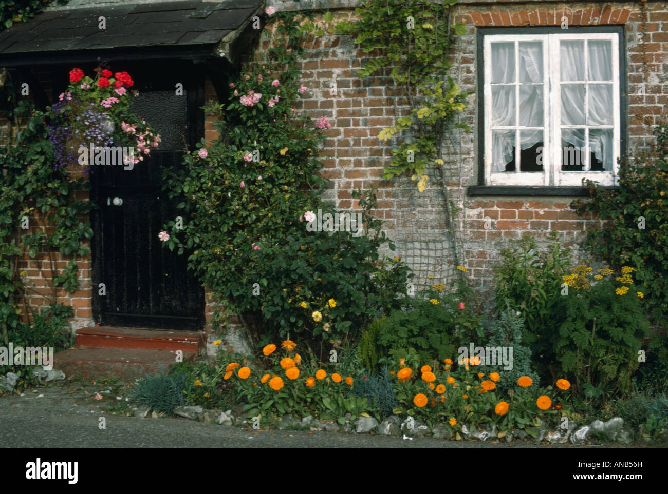 Orange marigolds in summer border below window of brick cottage Stock ...