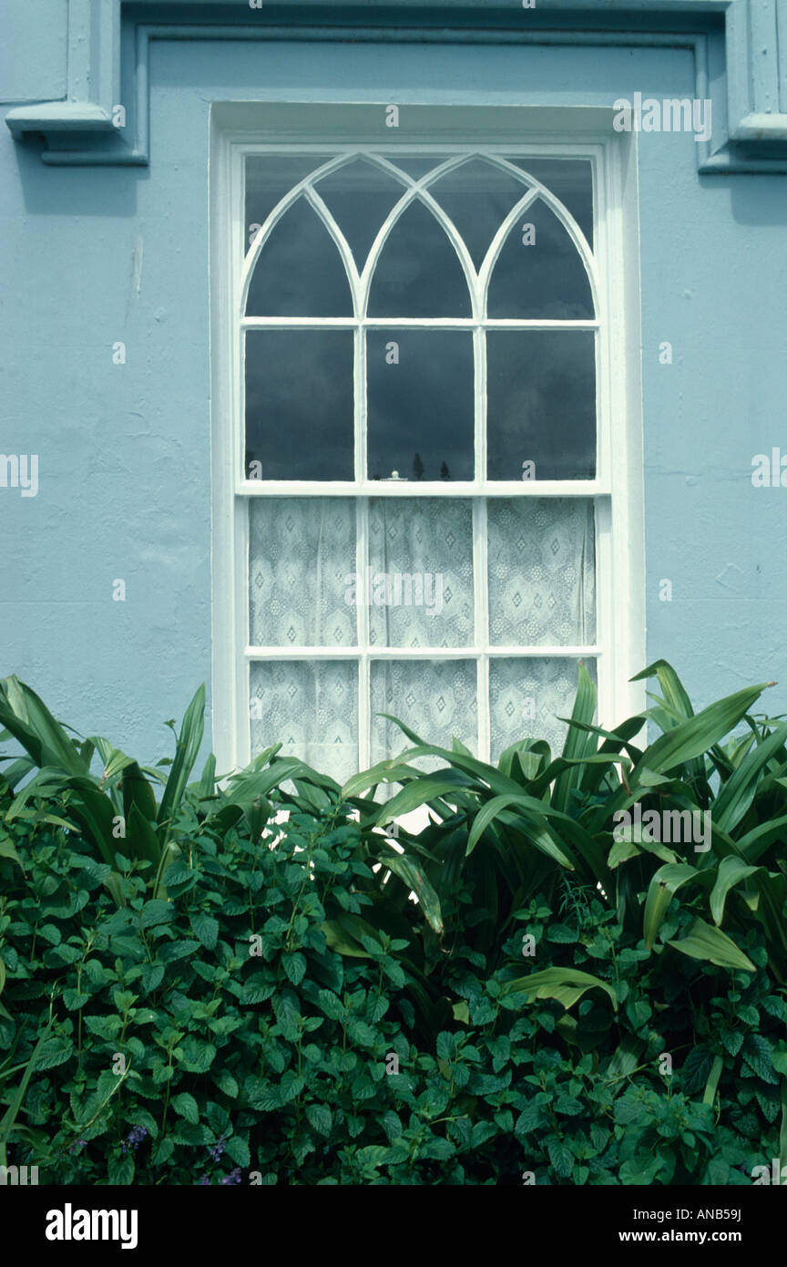 Close up of window with Gothic panes in pastel blue house Stock Photo ...