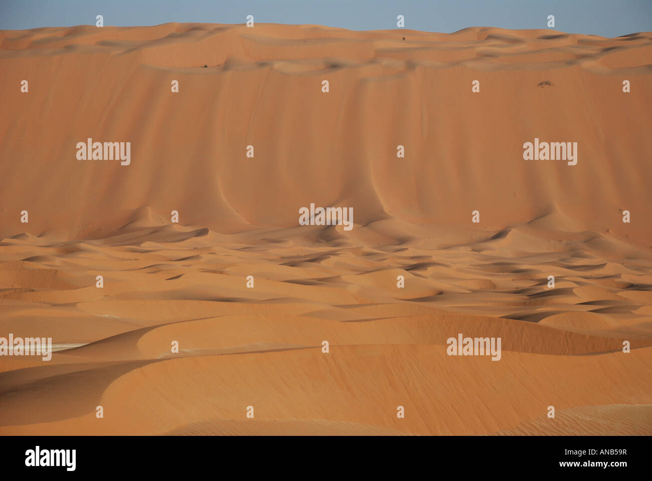 Sand dunes in the Empty Quarter, UAE Stock Photo - Alamy