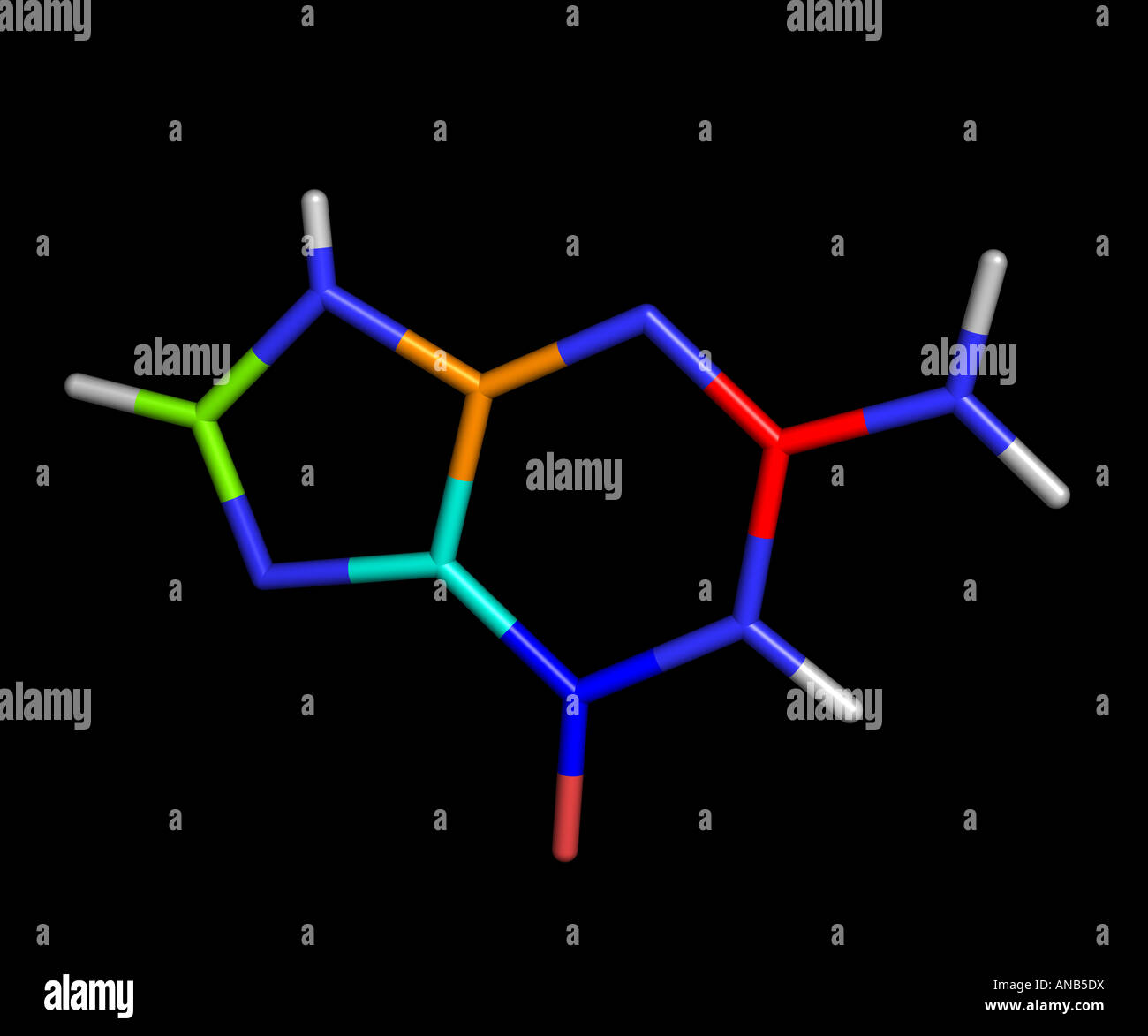 Guanine hi-res stock photography and images - Alamy