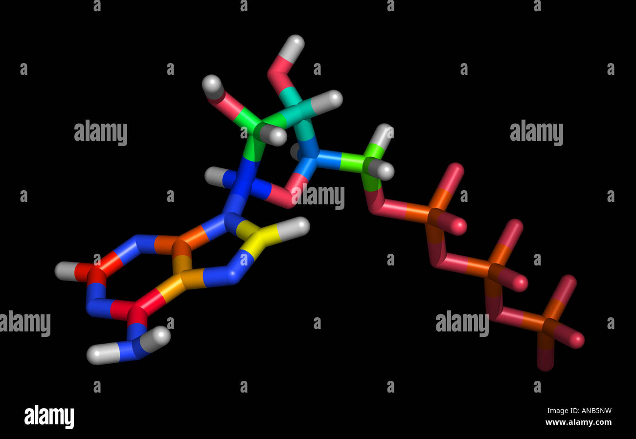 Cellular respiration hi-res stock photography and images - Alamy