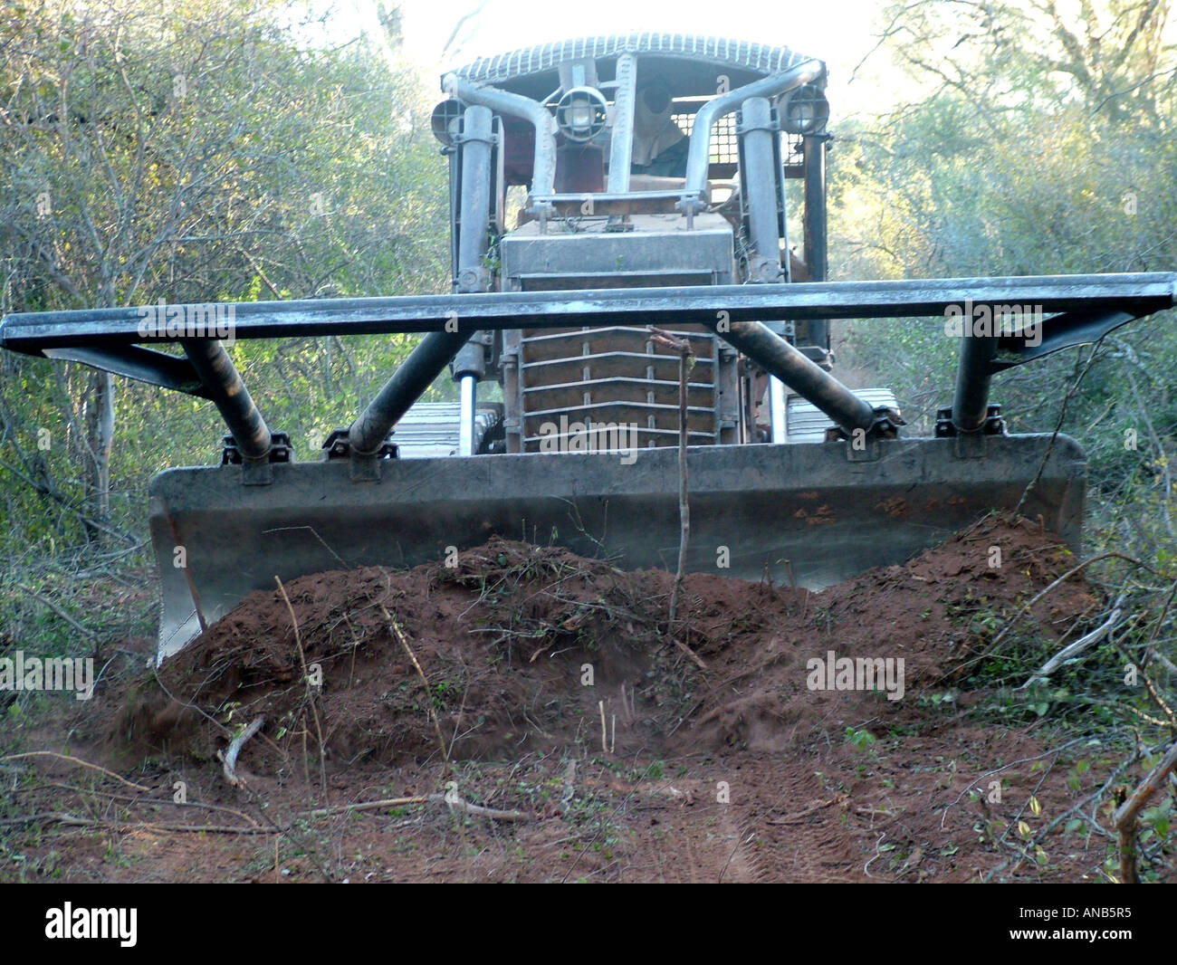 clearing of the dry forest with bulldozer, Gran Chaco, Paraguay Stock ...