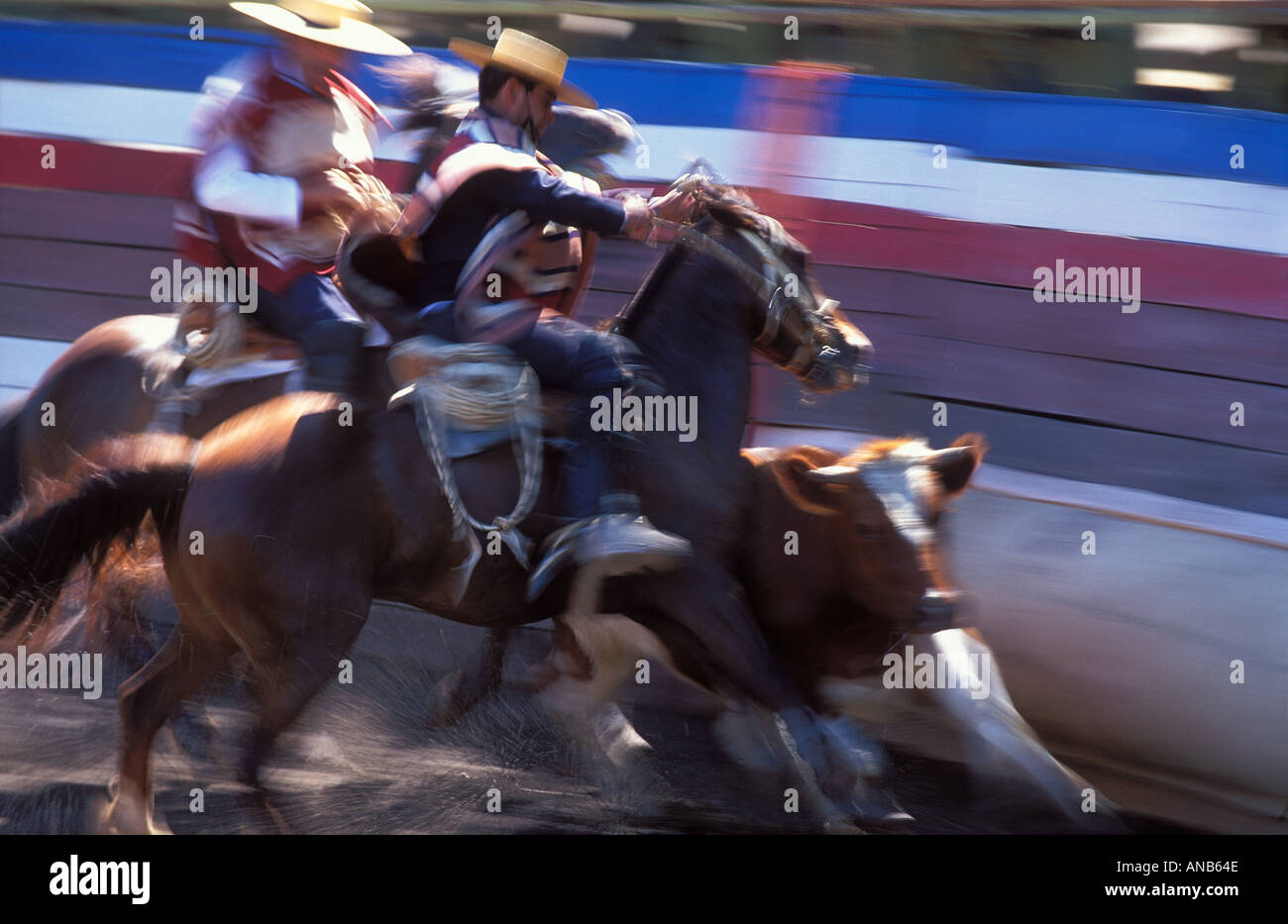 Chile san fernando hi-res stock photography and images - Alamy