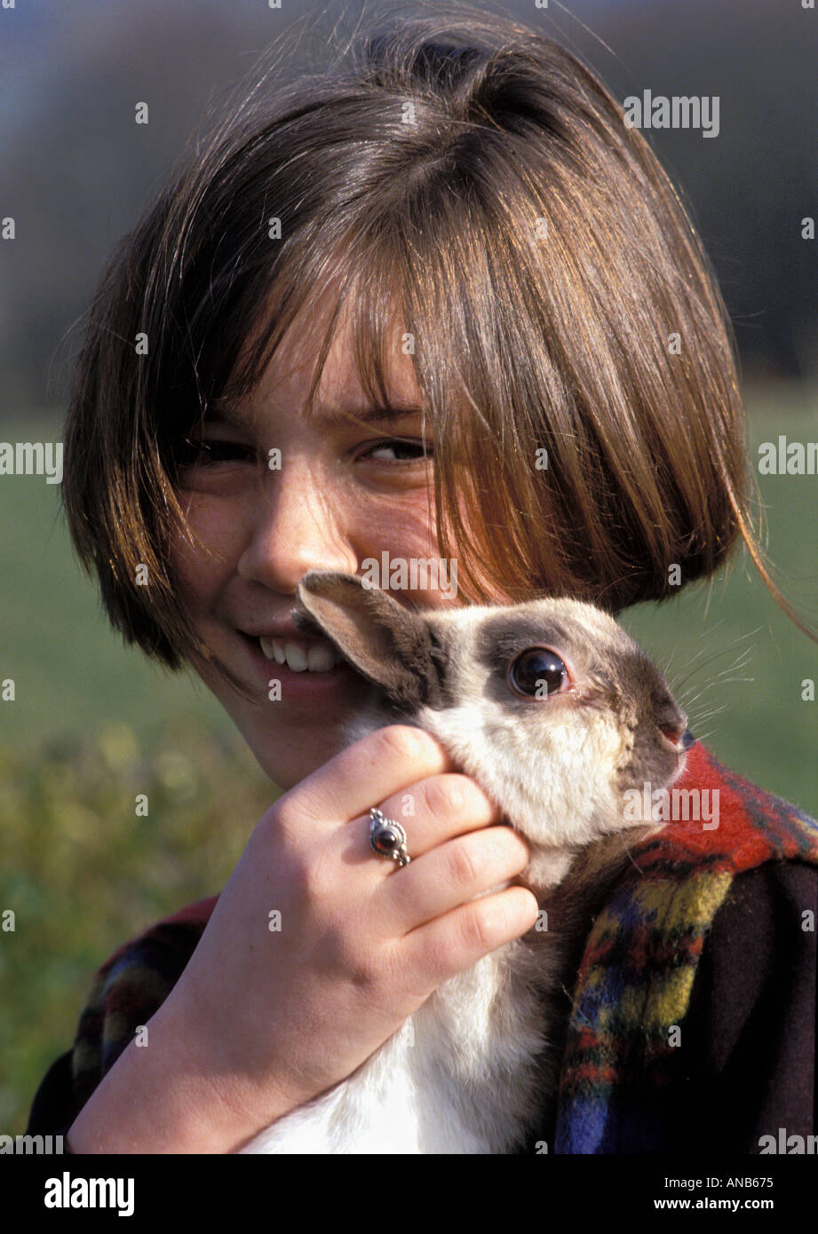Rabbit shoulder hi-res stock photography and images - Alamy