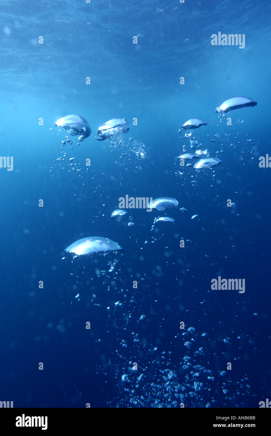 Bubbles underwater hi-res stock photography and images - Alamy