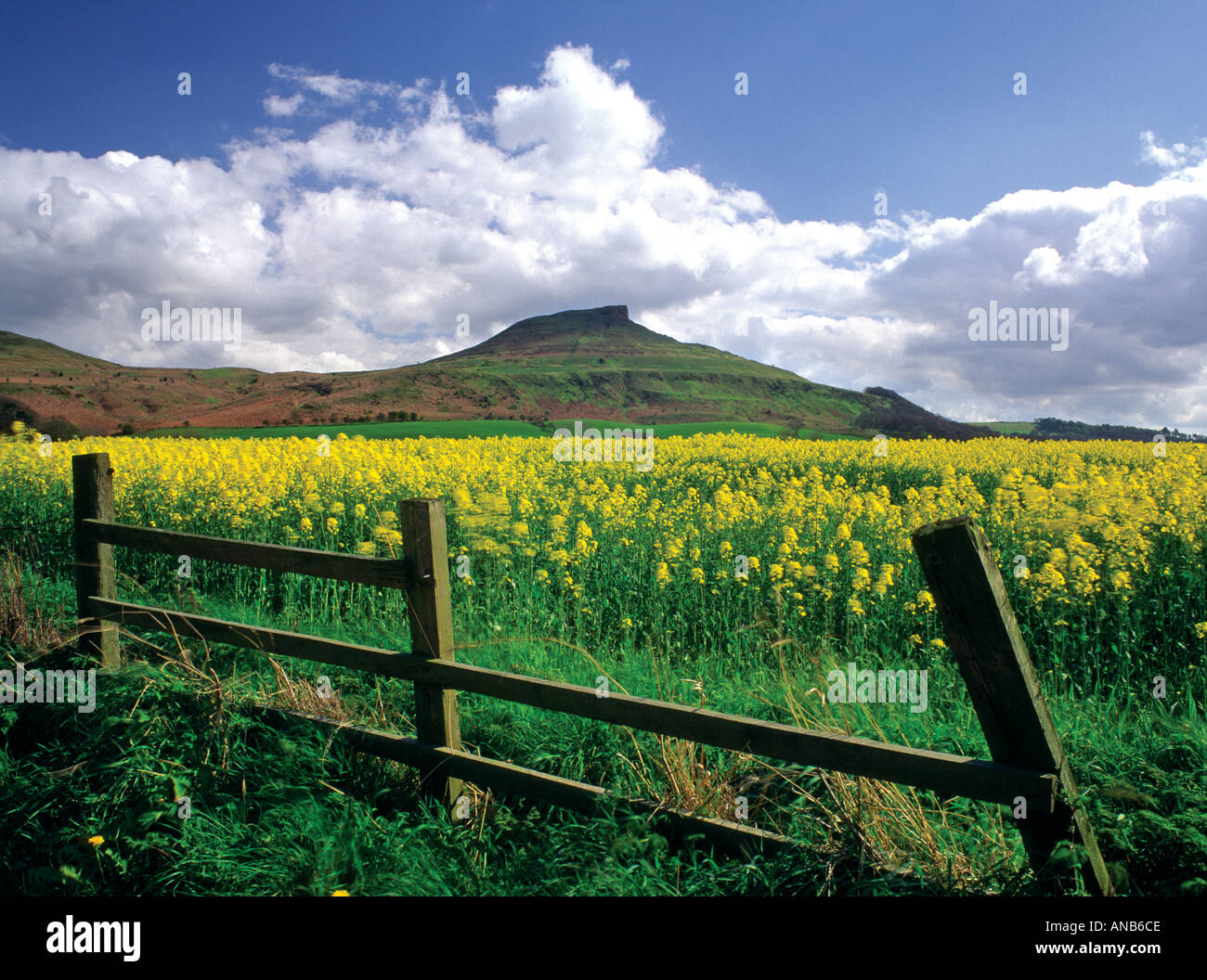 Roseberry Topping North York Moors England Stock Photo - Alamy