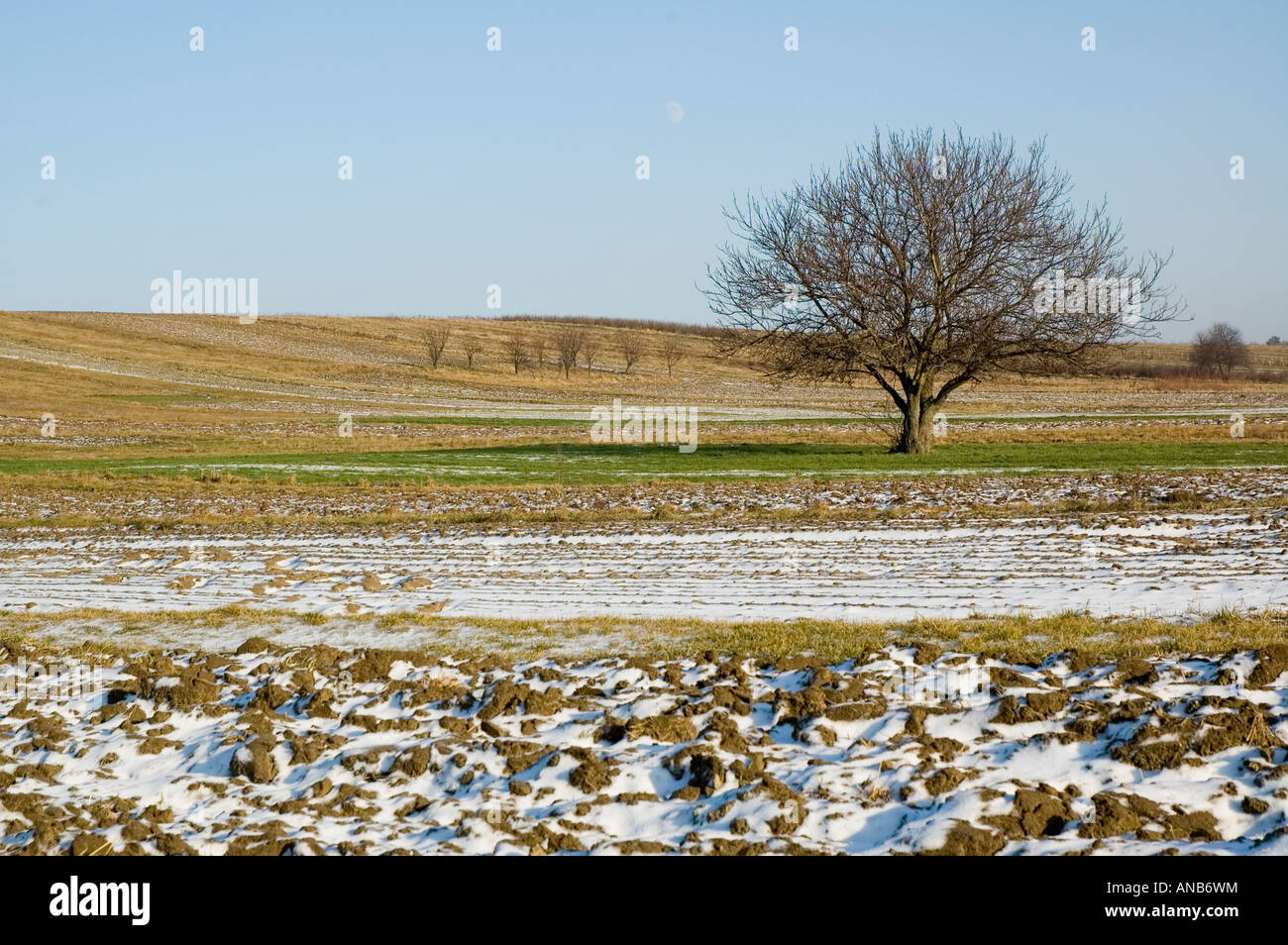 Landscape of Roztocze Region, Poland Stock Photo - Alamy