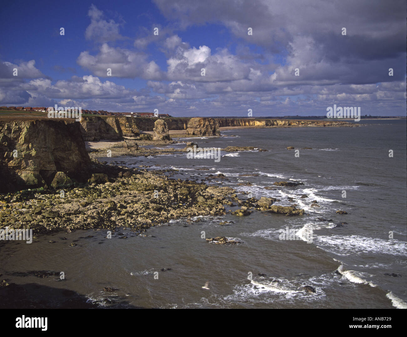 Marsden bay, south shields hi-res stock photography and images - Alamy