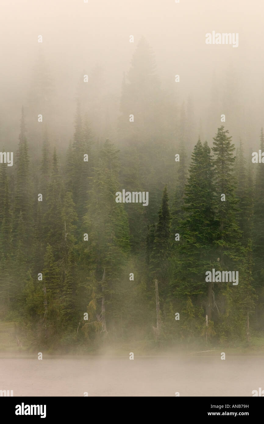 Mistic morning hi-res stock photography and images - Alamy