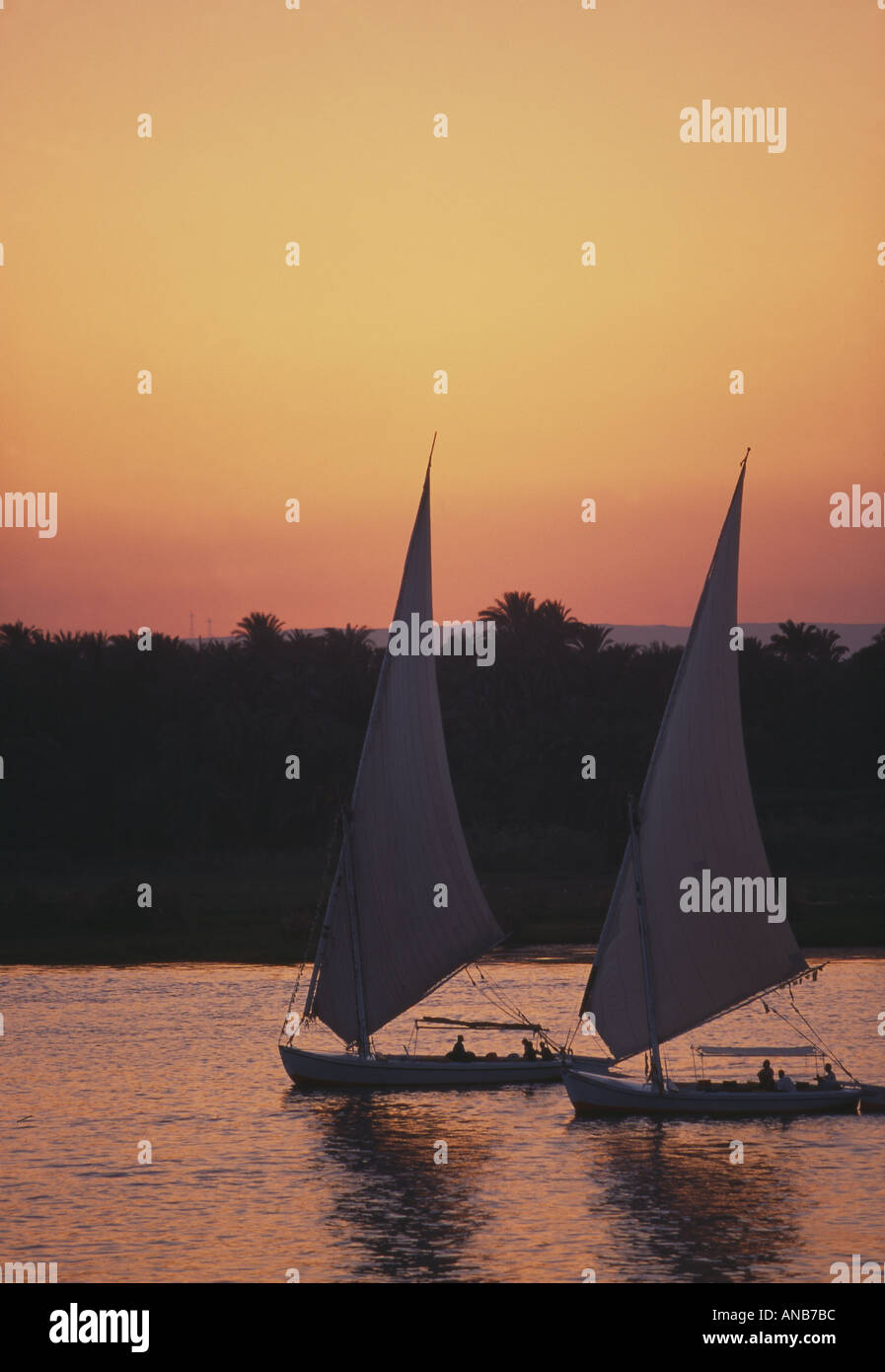 Egypt Nile River Luxor Felucca sailboats at sunset Stock Photo - Alamy