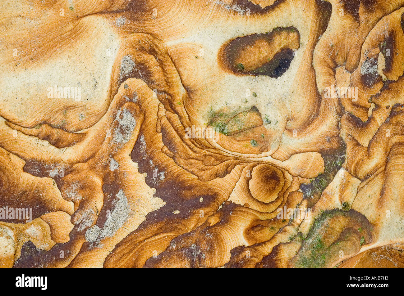 Close up of rock on a beach showing effects of water erosion Stock ...