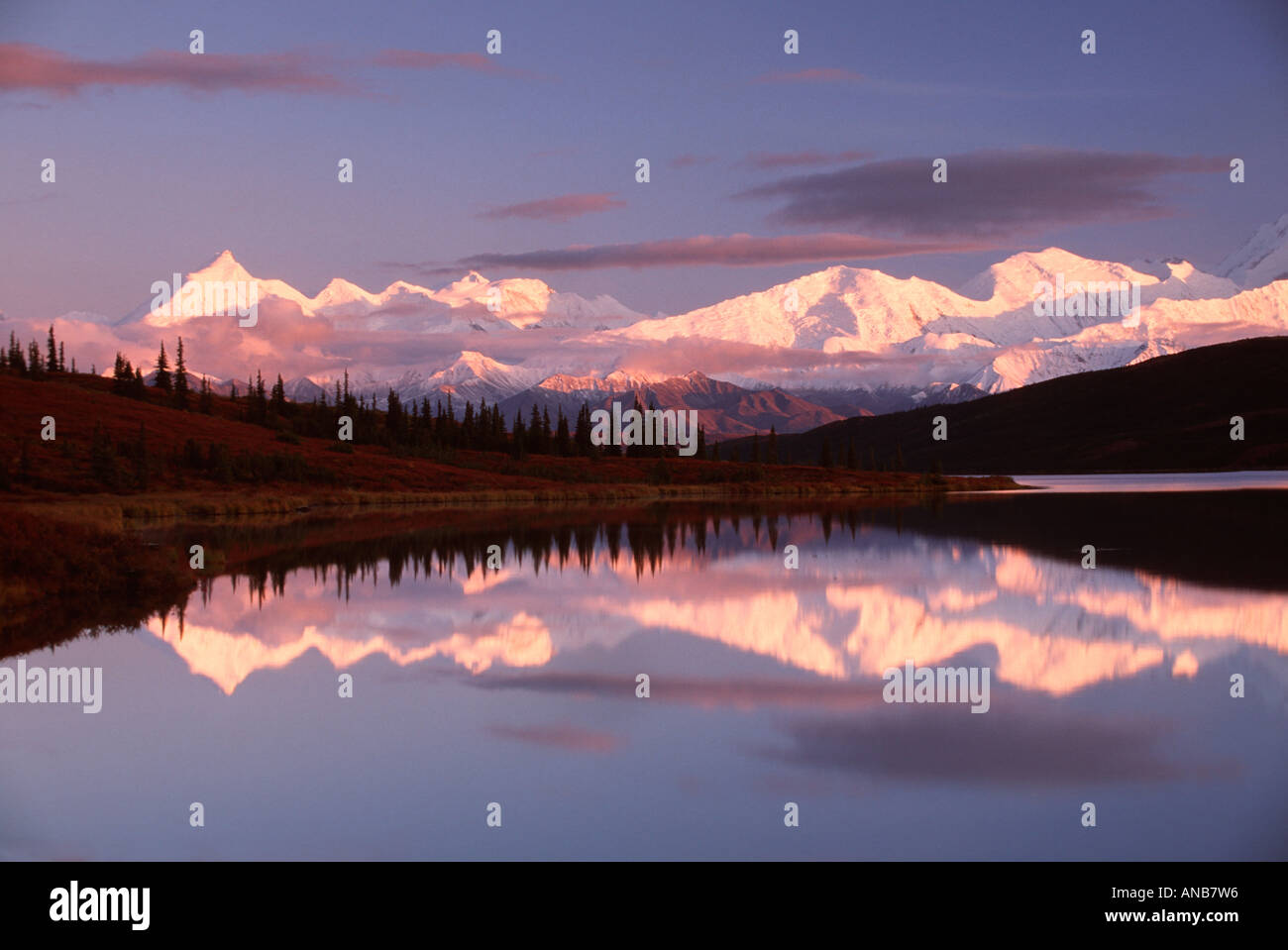 Fall Colors in Denali National Park Stock Photo - Alamy