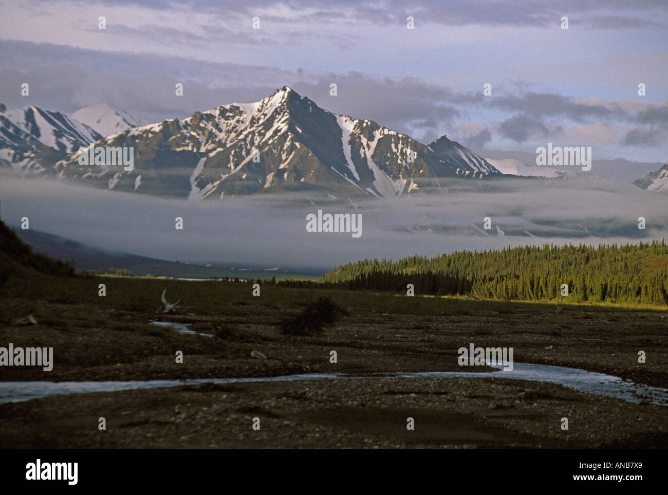 Fall Colors in Denali National Park Alaska Stock Photo - Alamy