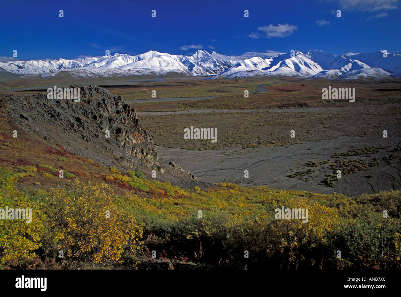 Fall Colors in Denali National Park Alaska Stock Photo - Alamy