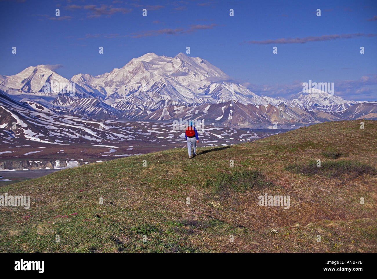 Fall Colors in Denali National Park Alaska Stock Photo - Alamy