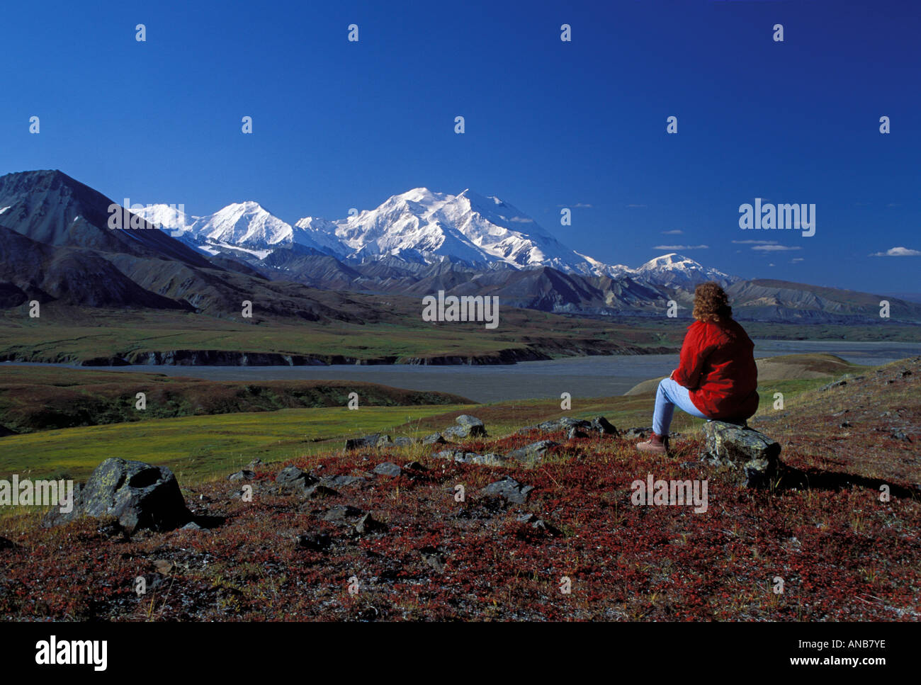 Fall Colors in Denali National Park Alaska Stock Photo - Alamy