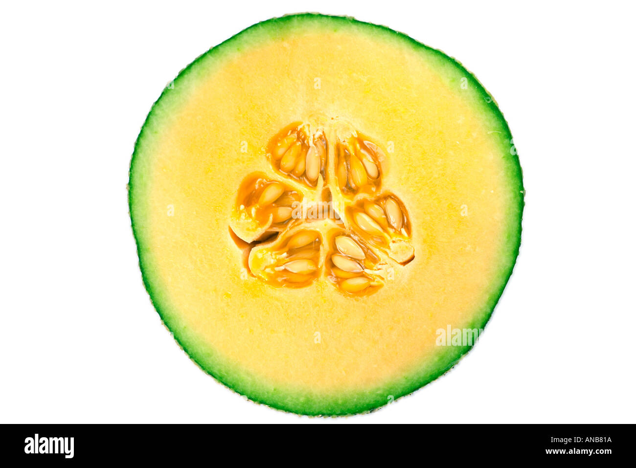 Cantaloupe melon cut cross section Stock Photo - Alamy