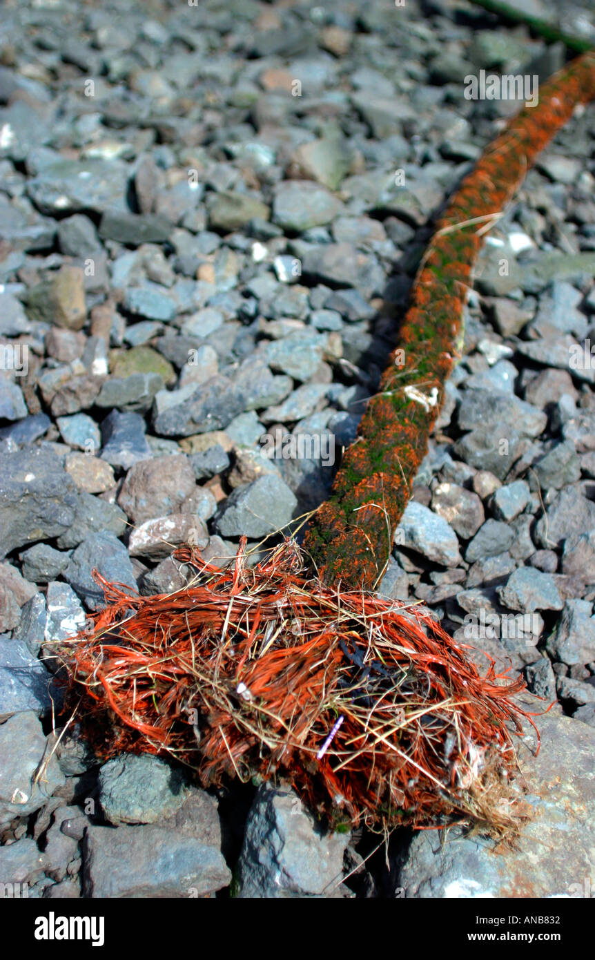 Old rope washed up on beach Stock Photo - Alamy