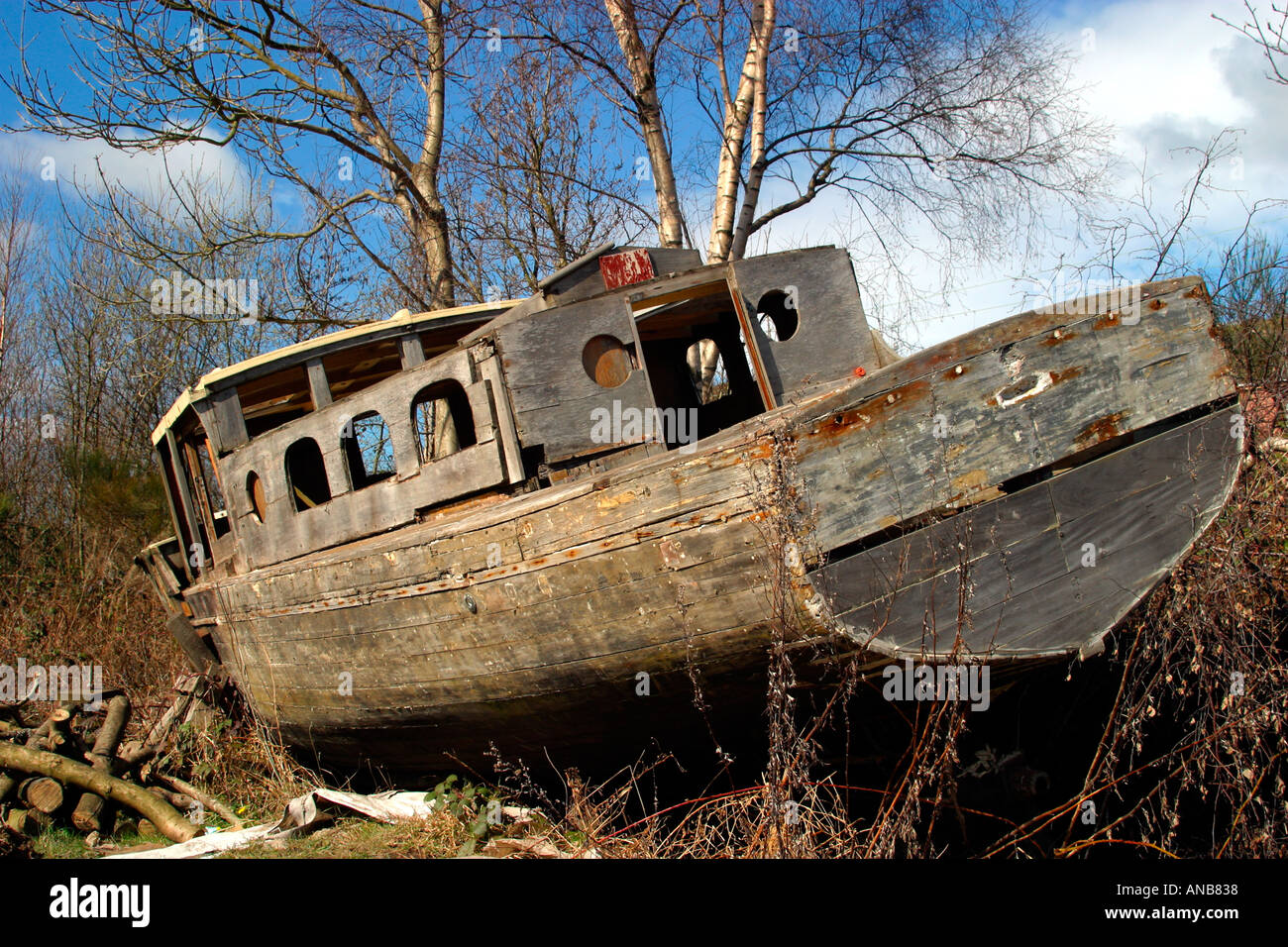 Abandoned boat in trees Stock Photo - Alamy