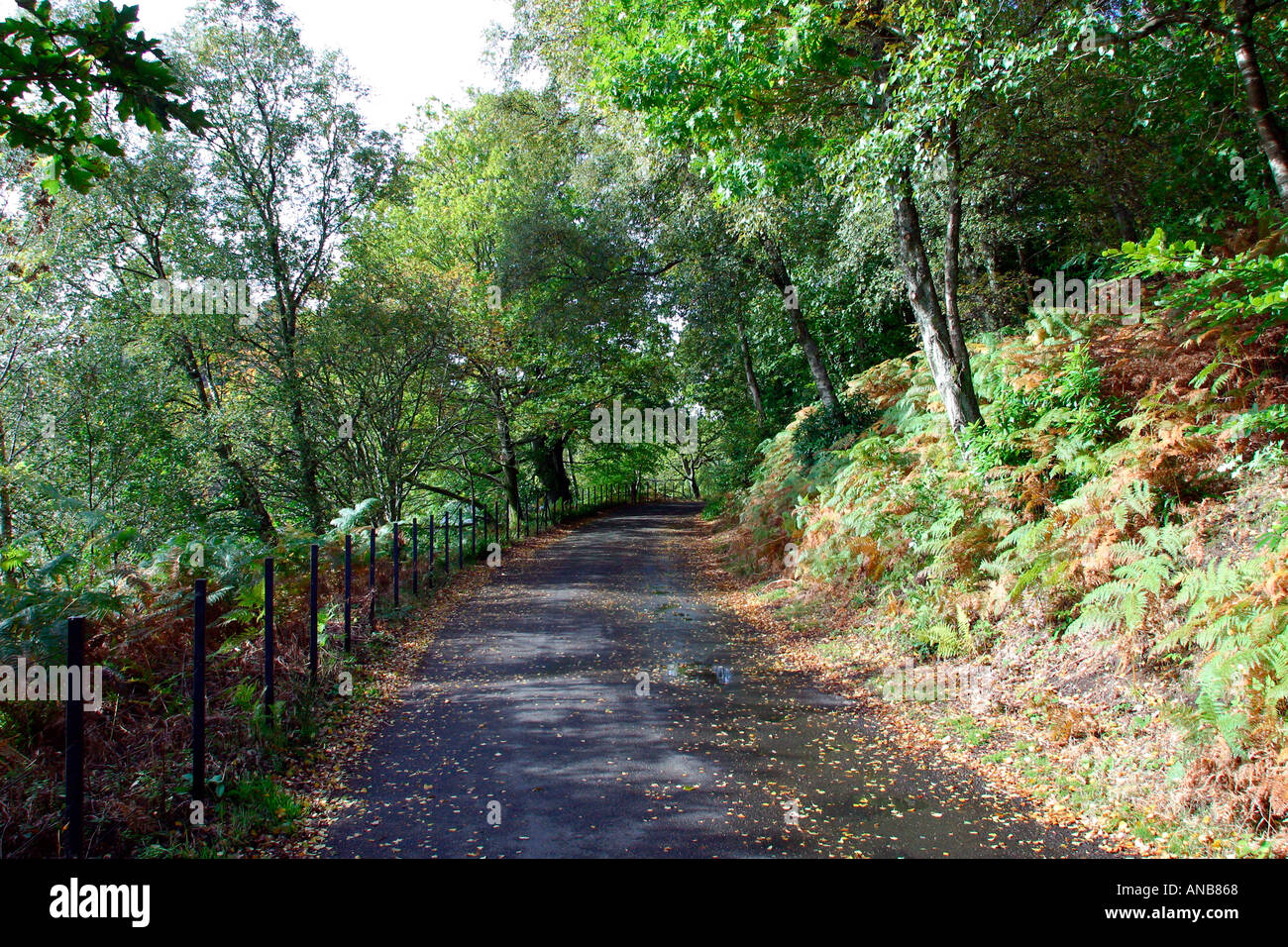 Road Pier High Resolution Stock Photography and Images - Alamy