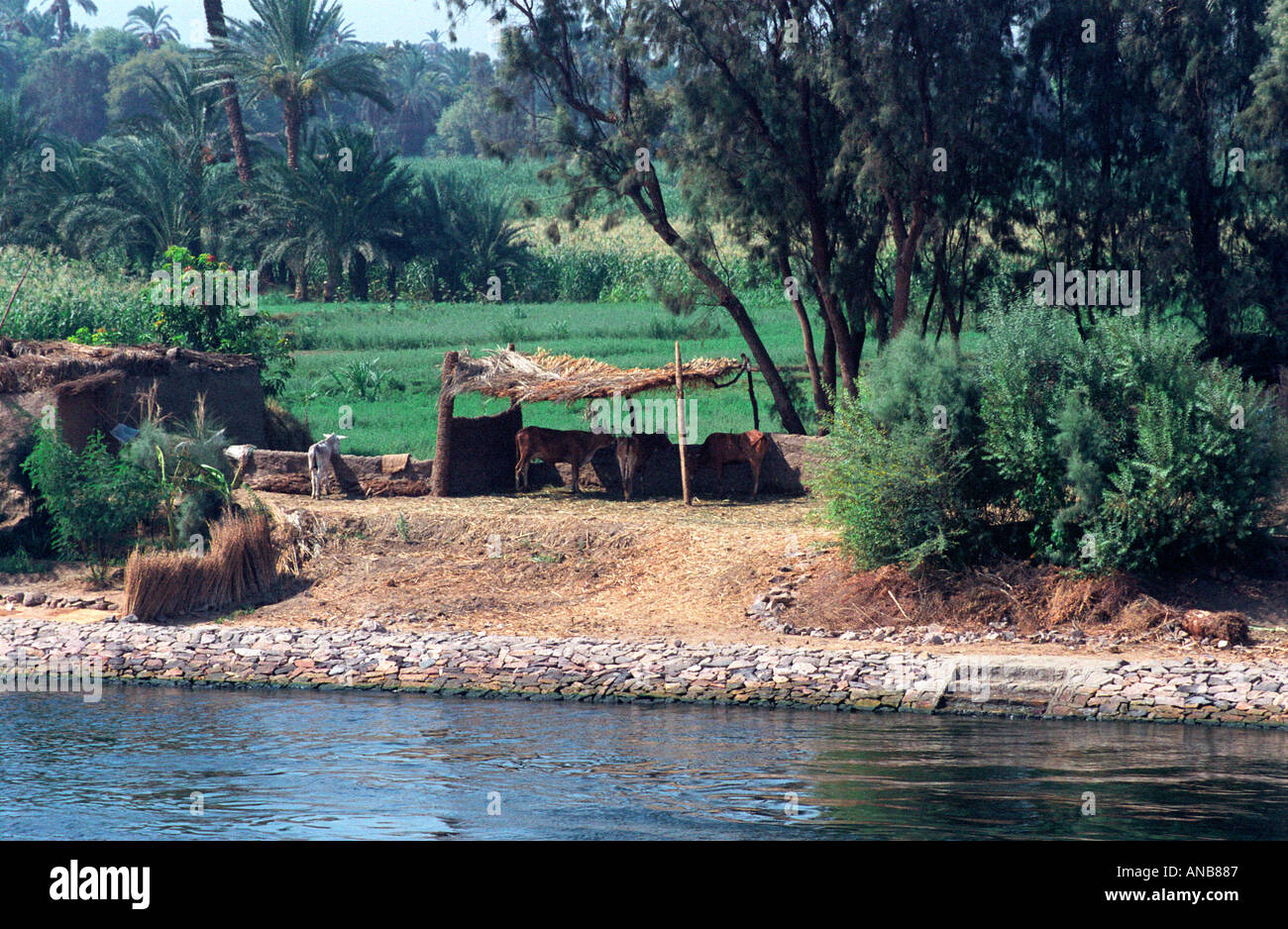 Nile river egypt farmers hi-res stock photography and images - Alamy
