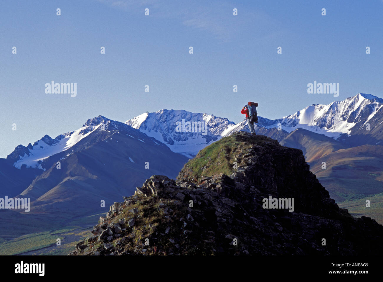 Fall Colors in Denali National Park Alaska Stock Photo - Alamy