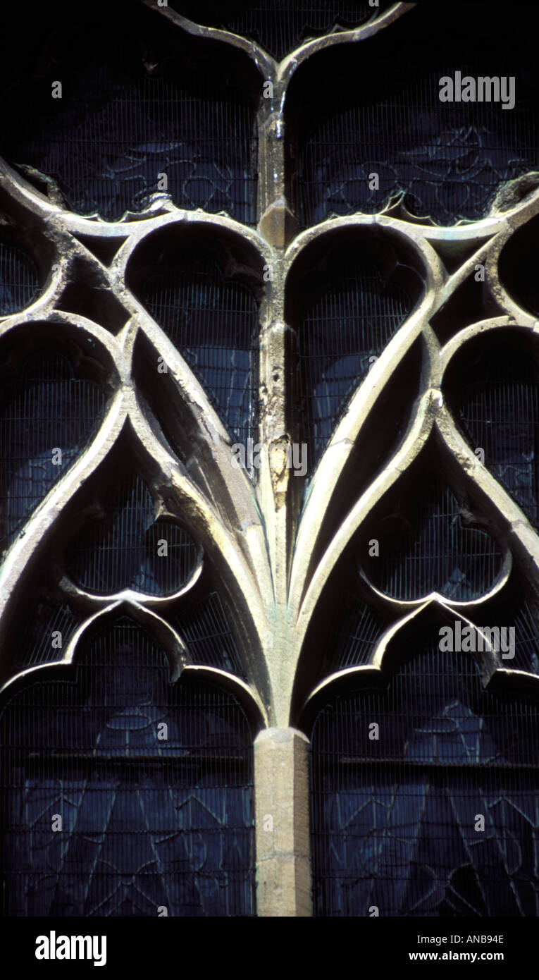 Reticulated Definition