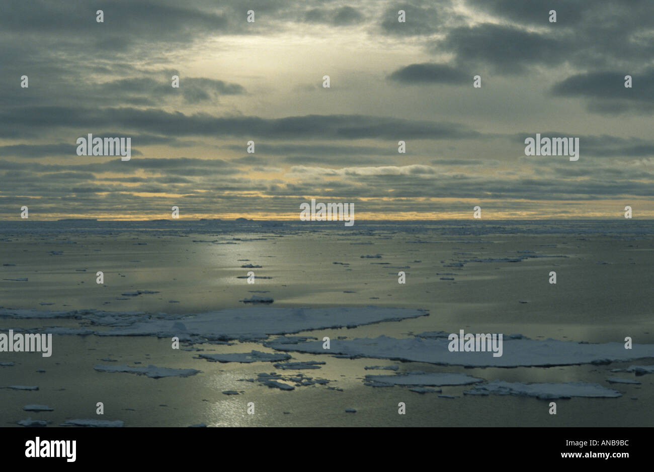 Seaice hi-res stock photography and images - Alamy