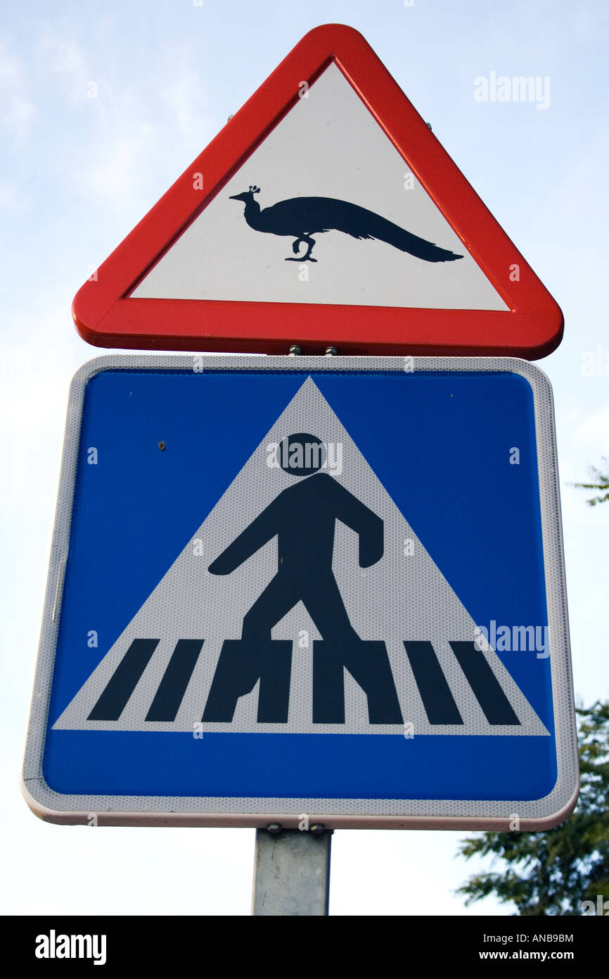 Peacock sign hi-res stock photography and images - Alamy