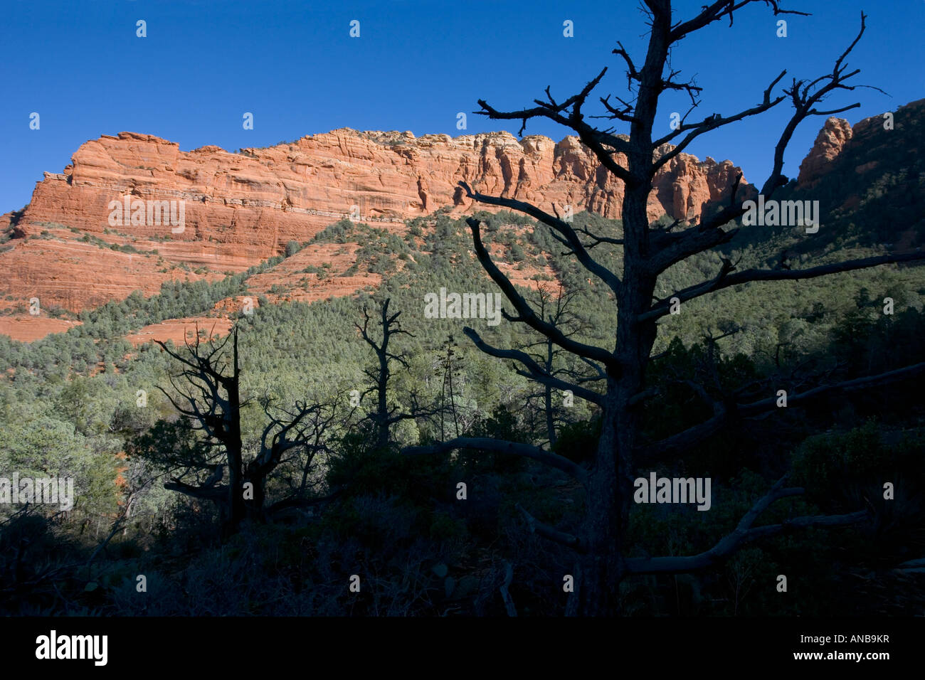 Red Rock country in Sedona Arizona USA Stock Photo - Alamy