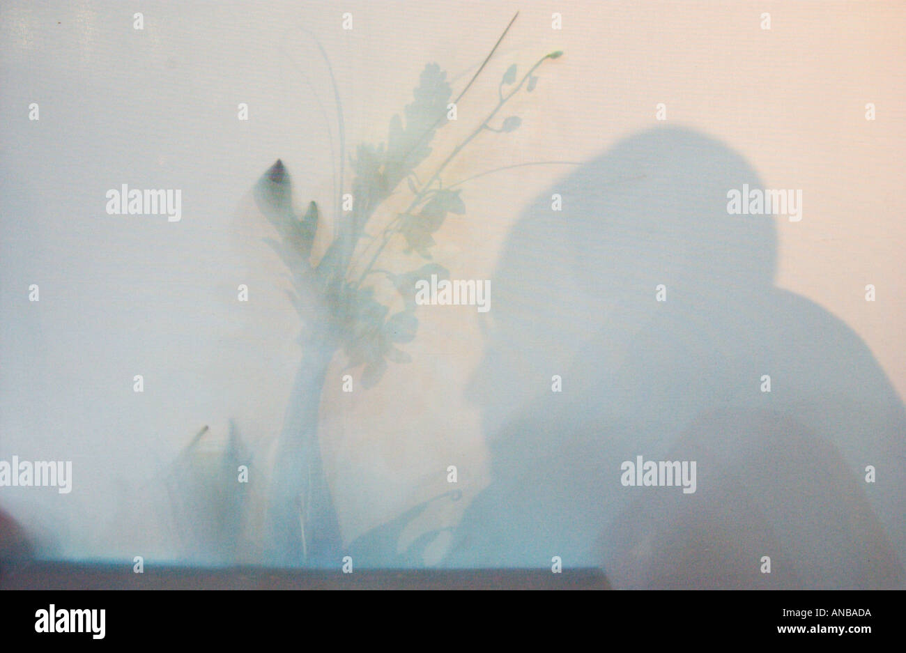 shadow of a bald man sitting at restaurant table Stock Photo - Alamy