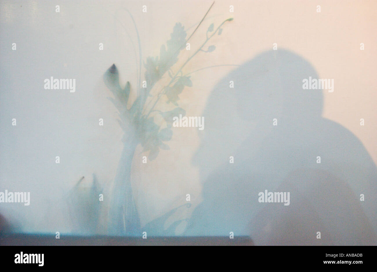 shadow of a bald man sitting at restaurant table Stock Photo - Alamy