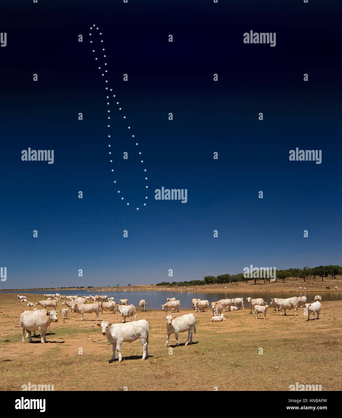 Analemma hi-res stock photography and images - Alamy