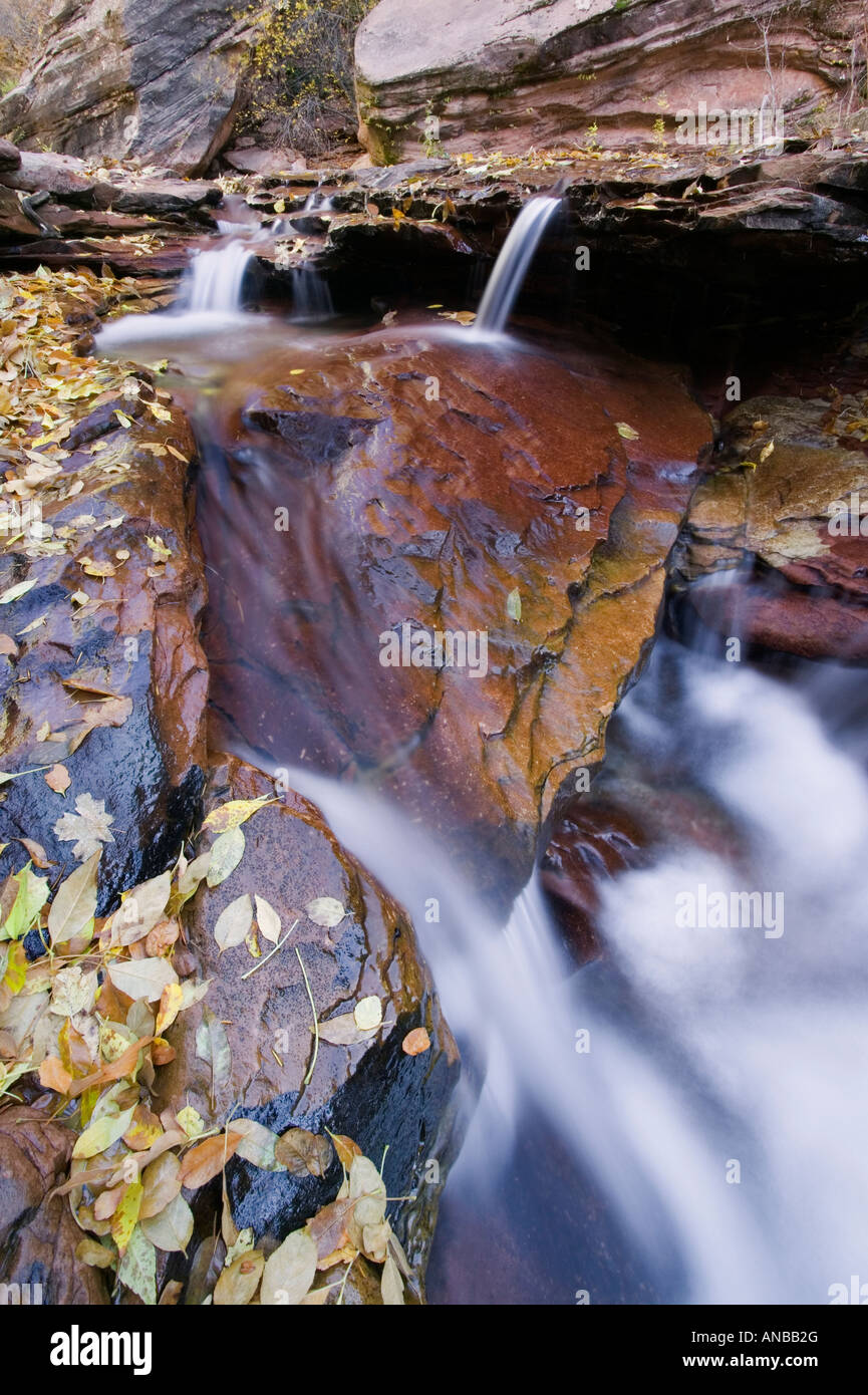 Subway - Left Fork of North Creek Stock Photo - Alamy