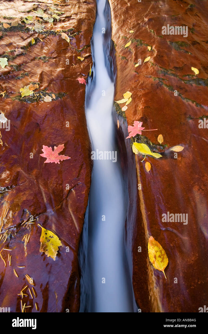 Subway - Left Fork of North Creek Stock Photo - Alamy