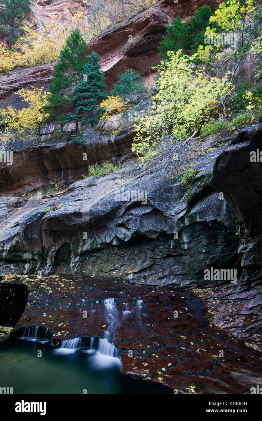 Subway - Left Fork of North Creek Stock Photo - Alamy