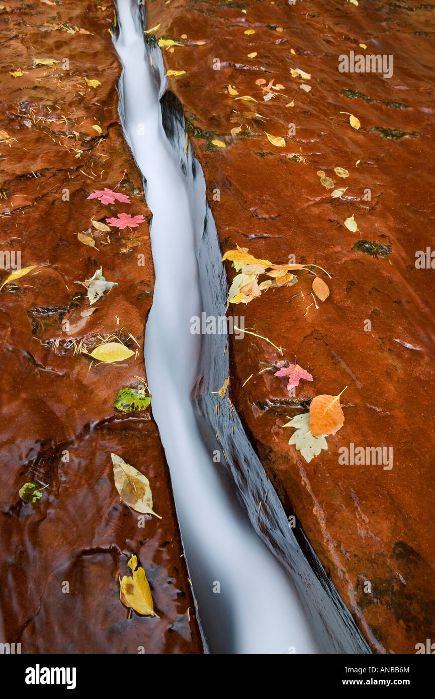 Subway - Left Fork of North Creek Stock Photo - Alamy