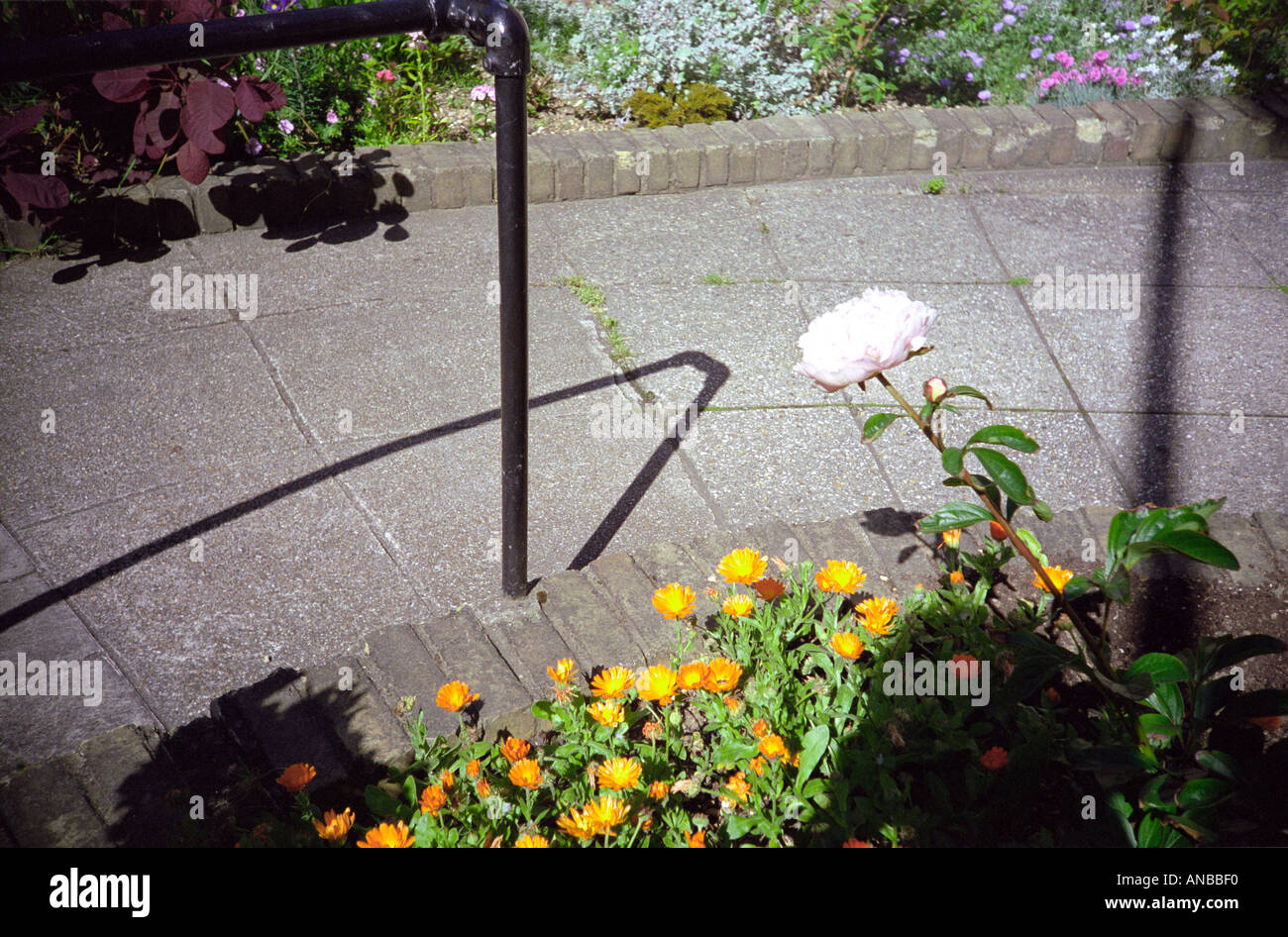 Pathway with flower Stock Photo - Alamy